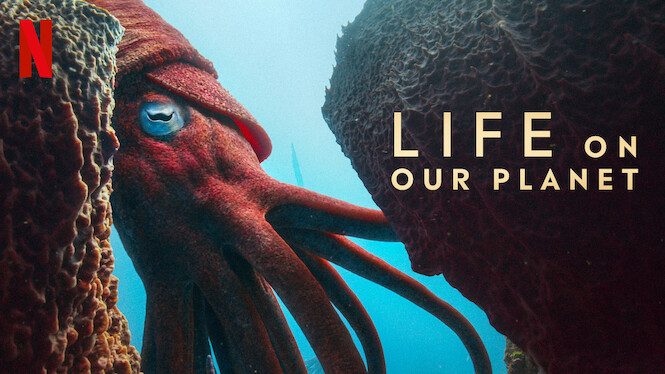 Is 'Life on Our Planet' on Netflix in Australia? Where to Watch the ...